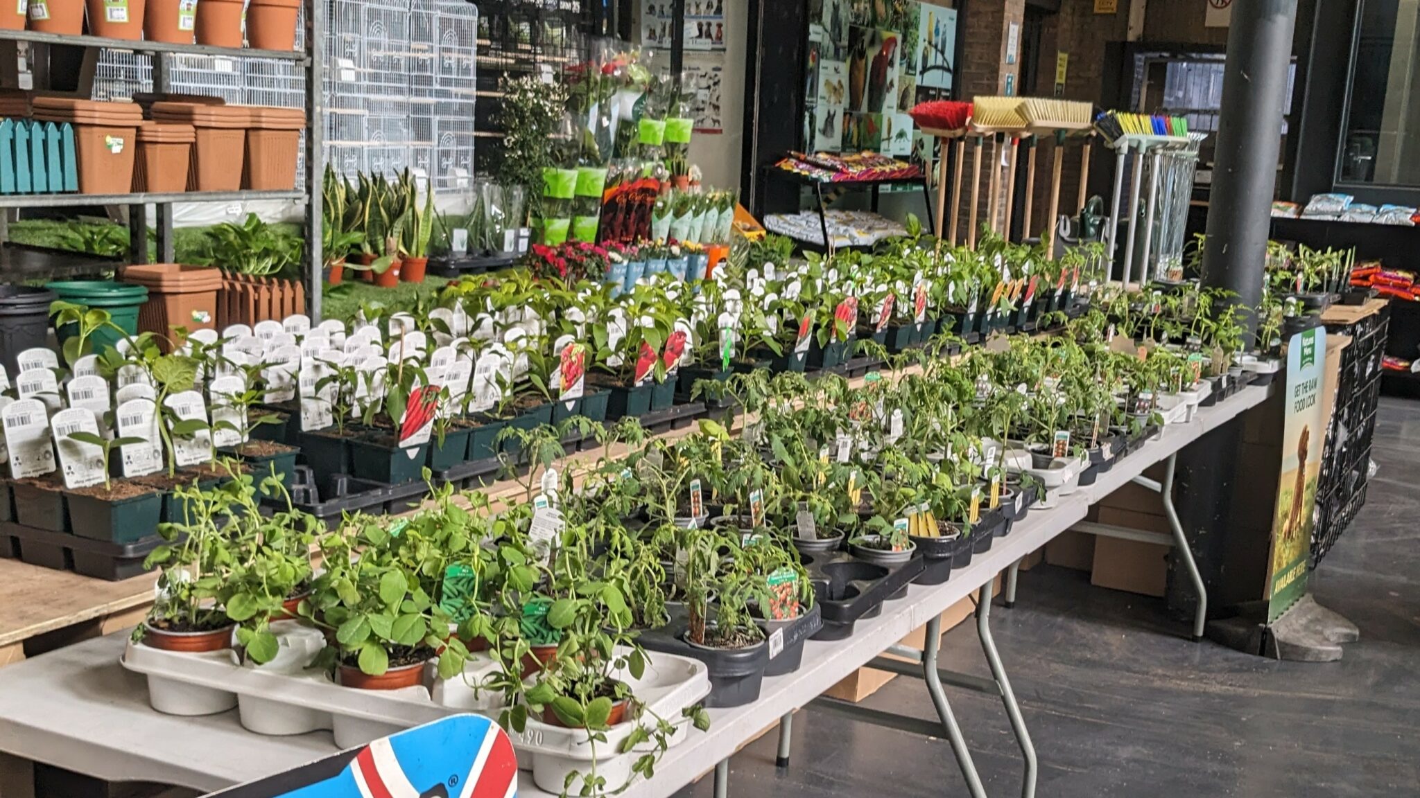 Edmonton Green Shopping Centre - Visit us today!